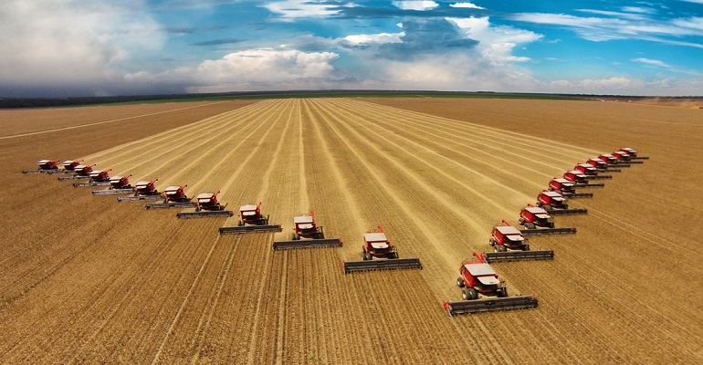 Agronegócio brasileiro caminha a passos largos em 2023