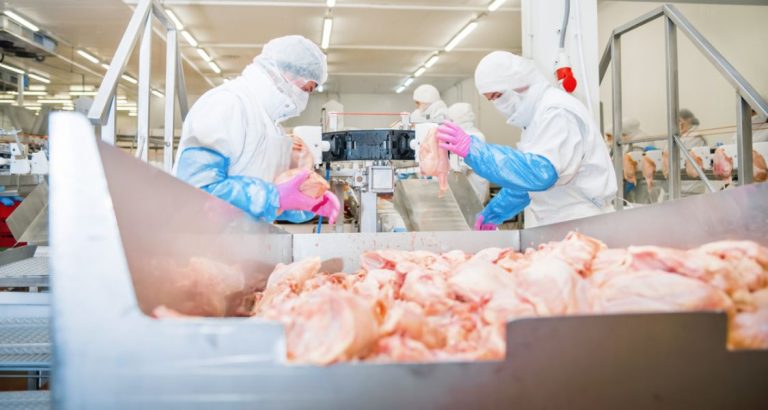 O Que É Reciclagem Animal? Benefícios e Exemplos - Food Connection