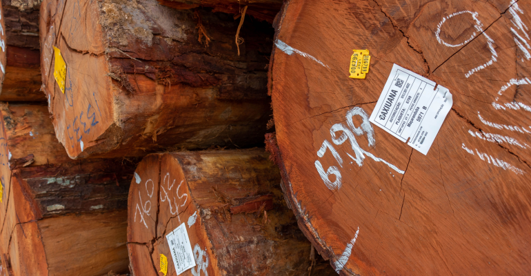 Mercado de madeiras nobres no Brasil